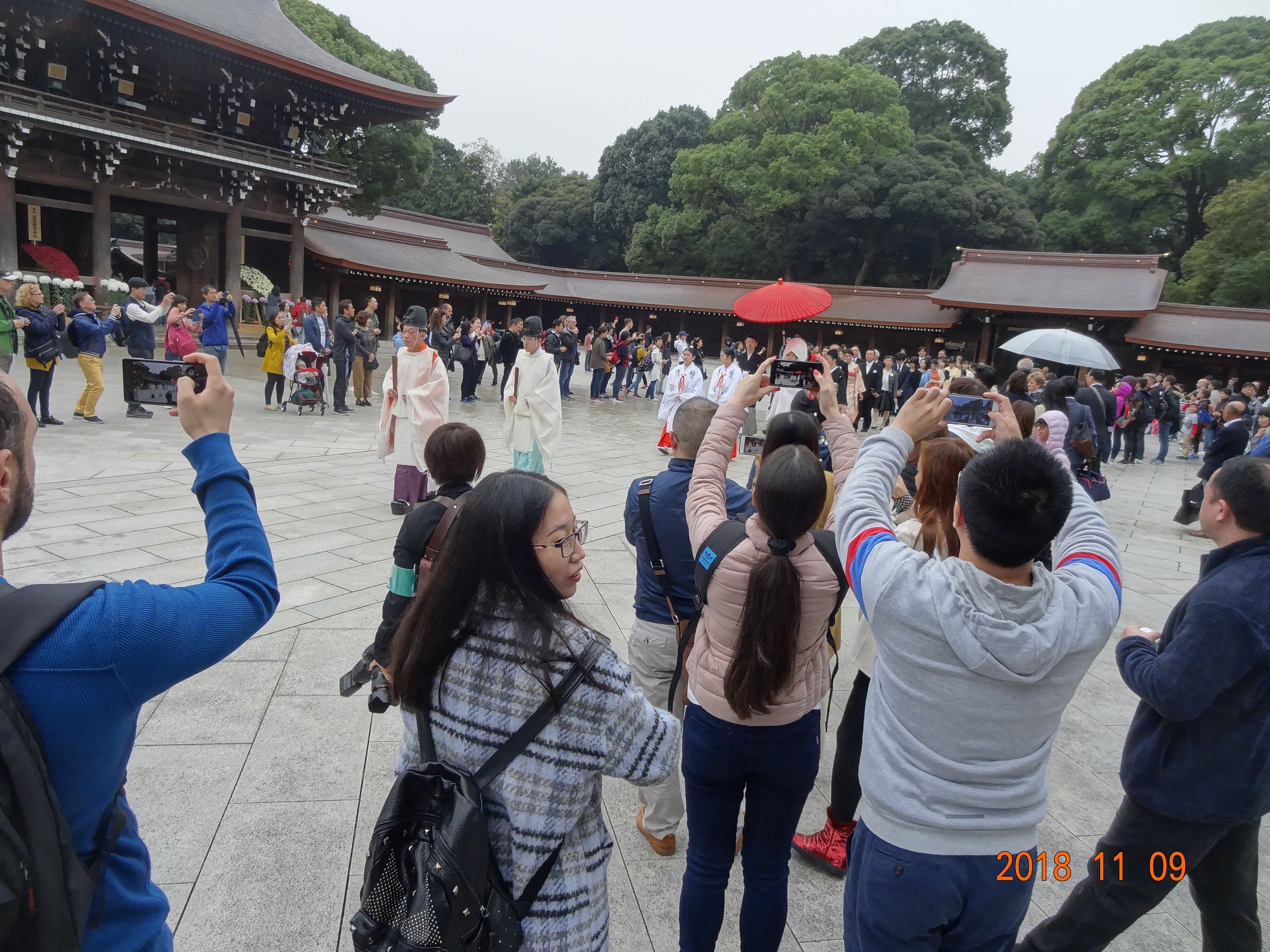 Nagareyama Goodwill Guide Club – ようこそ流山SGGクラブへ